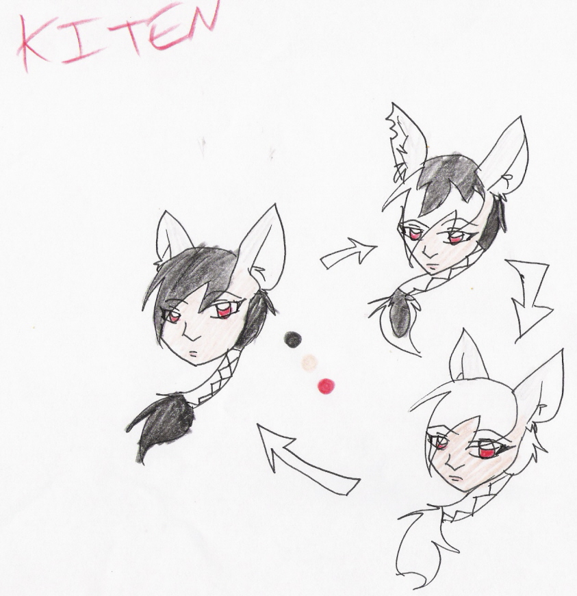 Kiten Character Chart by babyrainbou on DeviantArt