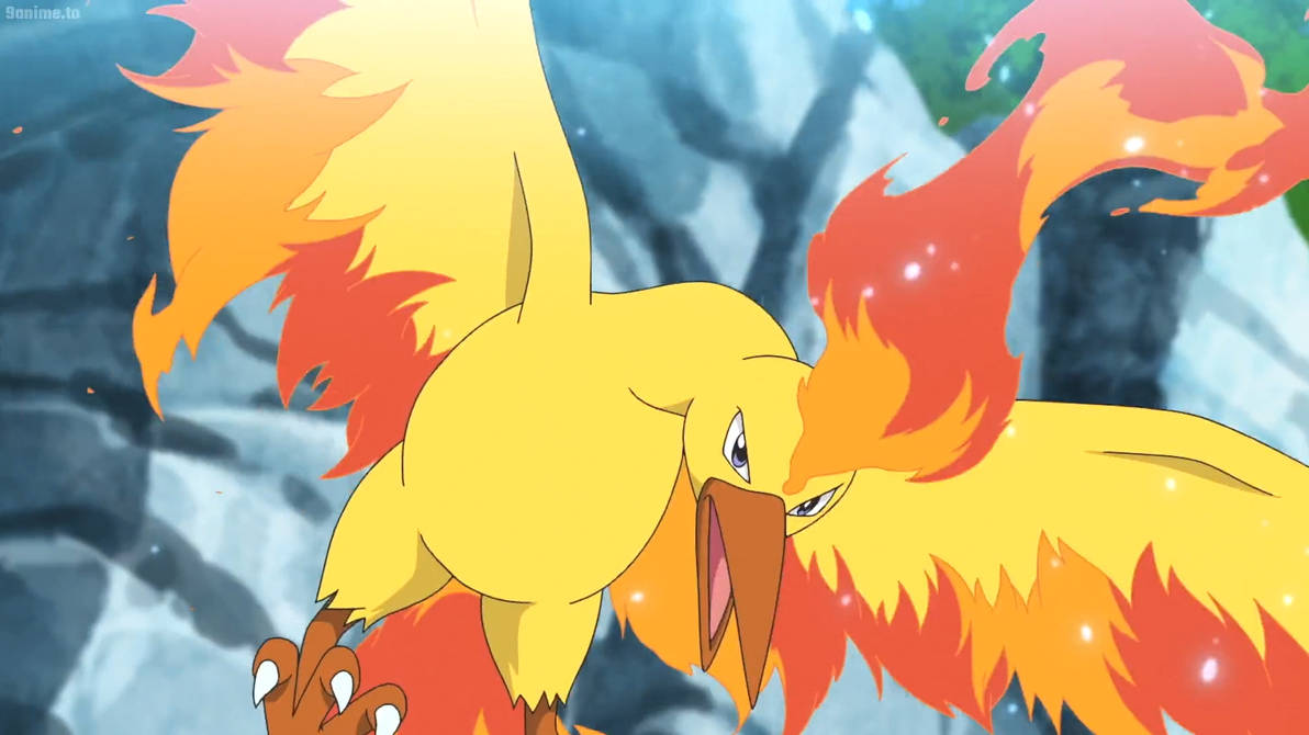 Pokemon Journeys E68 Moltres 8 By Giudirosso On Deviantart