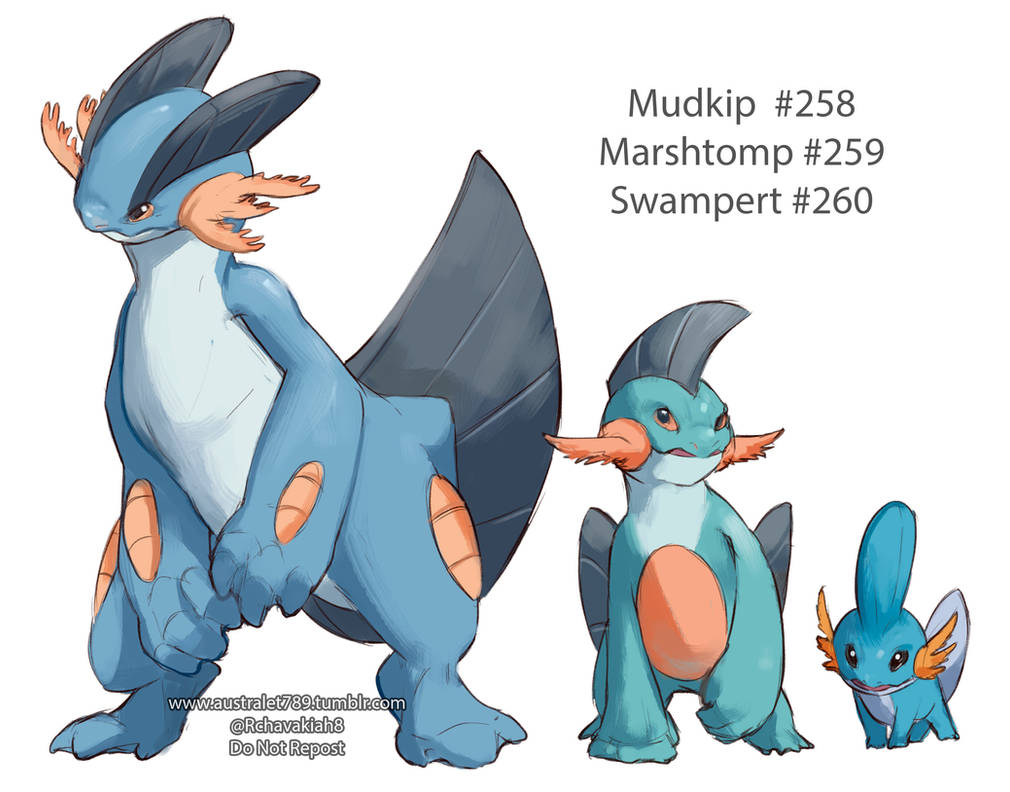 Swampert Evo Line By Australet789 On Deviantart