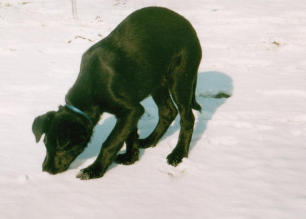 zion 10 by mirjamz on DeviantArt