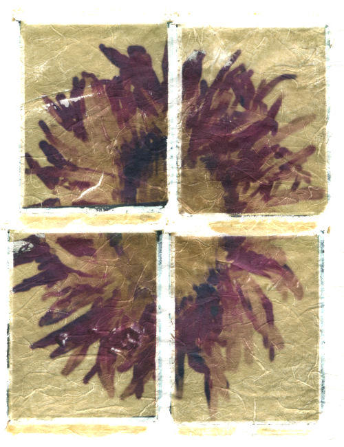 Marigold Collage by Bmovie205 on DeviantArt