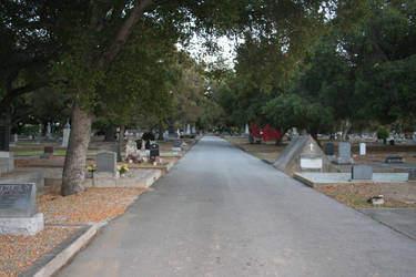 Stephasaurus-Stock User Profile | DeviantArt