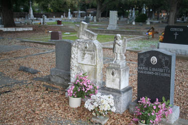 Stephasaurus-Stock User Profile | DeviantArt