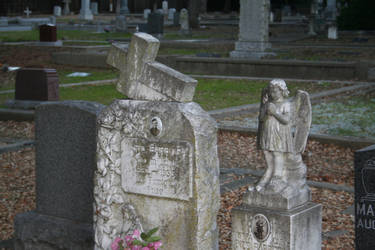 Stephasaurus-Stock User Profile | DeviantArt