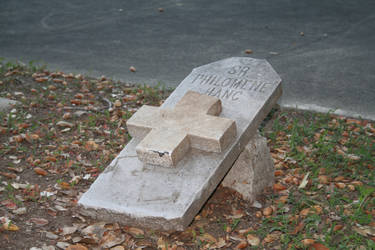 Stephasaurus-Stock User Profile | DeviantArt