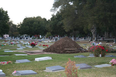 Stephasaurus-Stock User Profile | DeviantArt