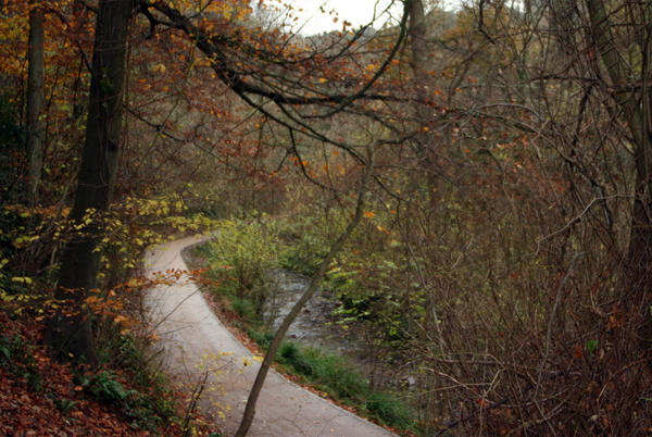 Blurry Path by Wilderbeast on DeviantArt