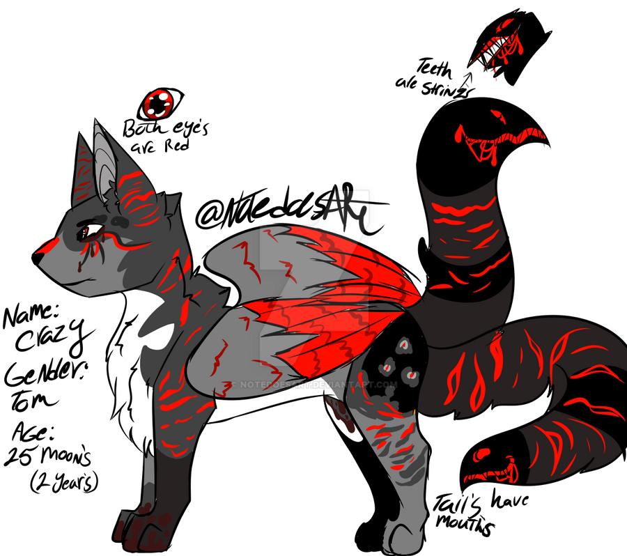 Crazy Warrior Cat Oc By Notedoesart On Deviantart