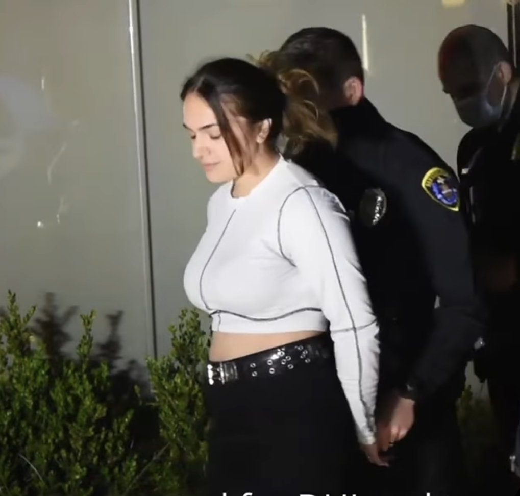 Woman Arrested By Officers For Dui By Ashnagopal On Deviantart