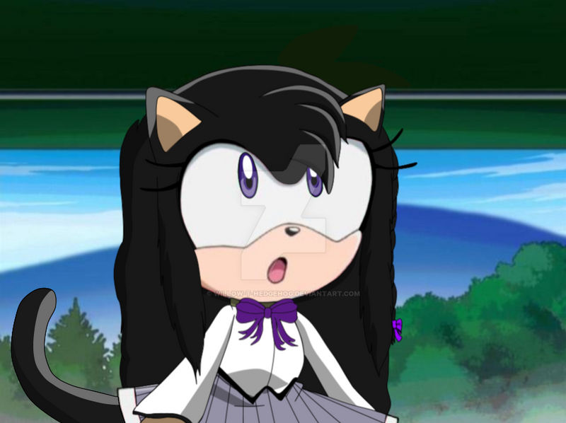 Sonic X Recolor Commission Homura By Willow T Hedgehog On Deviantart