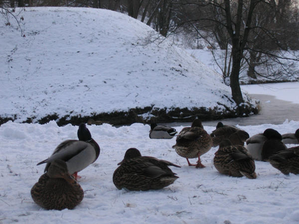 uto4ki by sanyart on DeviantArt