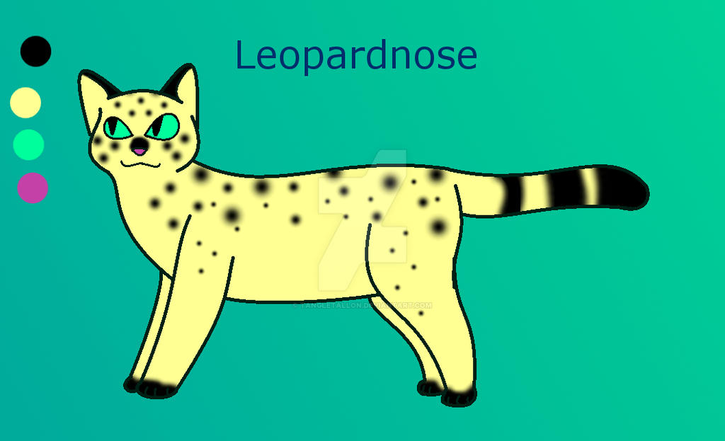 Leopardnose Temporary Reference Sheet By Tangletallon On Deviantart