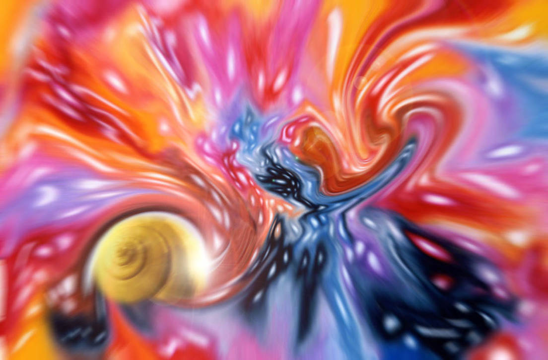 Snail dream by nbertran on DeviantArt