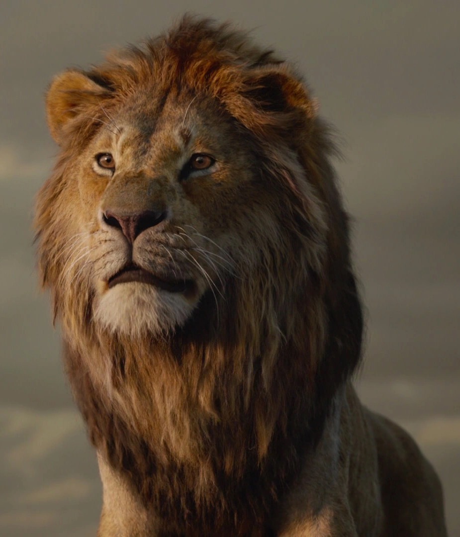 Lion King 2019 Adult Simba Pic2 By Kaelynturtle350 On Deviantart