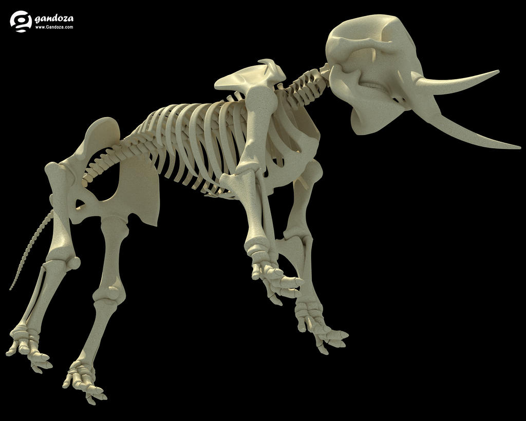 African-Elephant-Skeleton by Gandoza on DeviantArt African-Elephant-Skeleton by Gandoza on DeviantArt