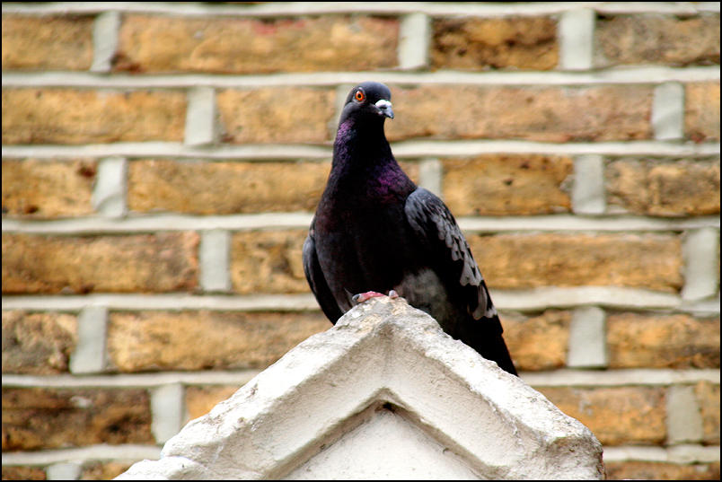 Tweedy Road II by O-range on DeviantArt