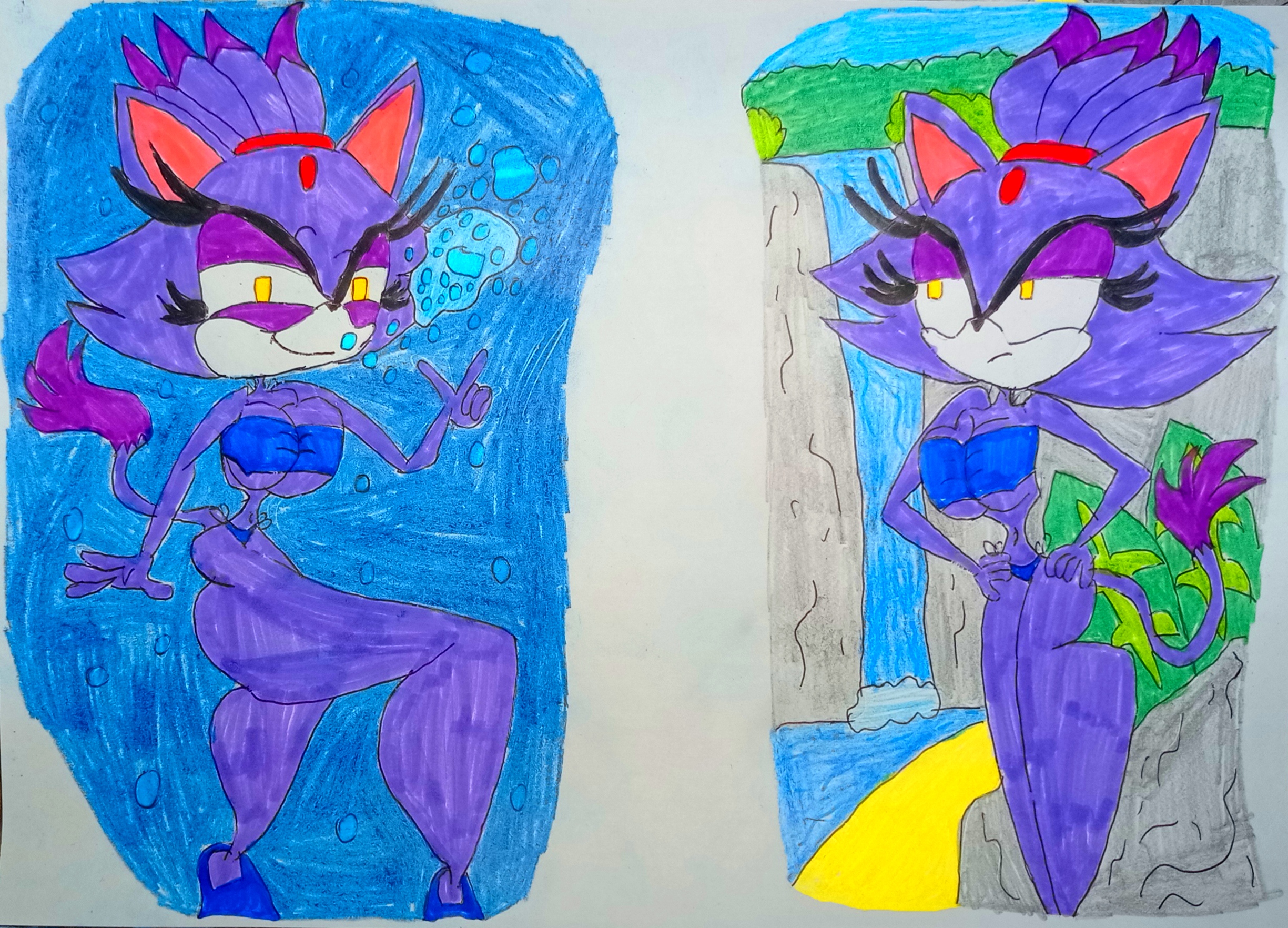 Blaze The Catunderwater And Beachshow Swimsuit By Bludinimax On Deviantart