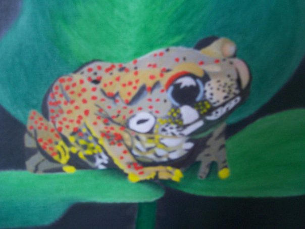 Clover Frog Close Up by BuddhaJean on DeviantArt