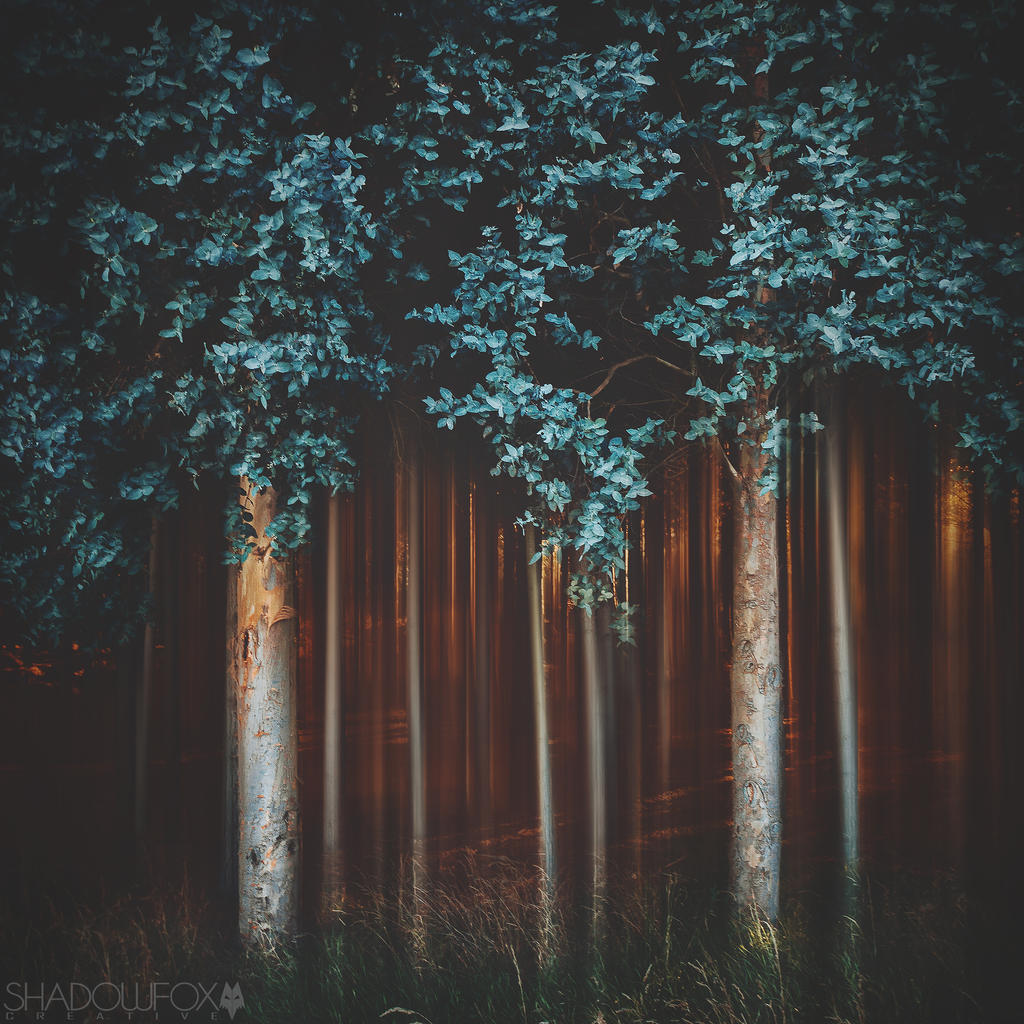 Blue By Shadowfoxcreative On Deviantart