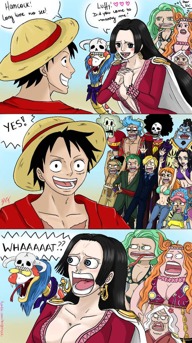 The Proposal Luffy X Hancock By Beasgiusti On Deviantart