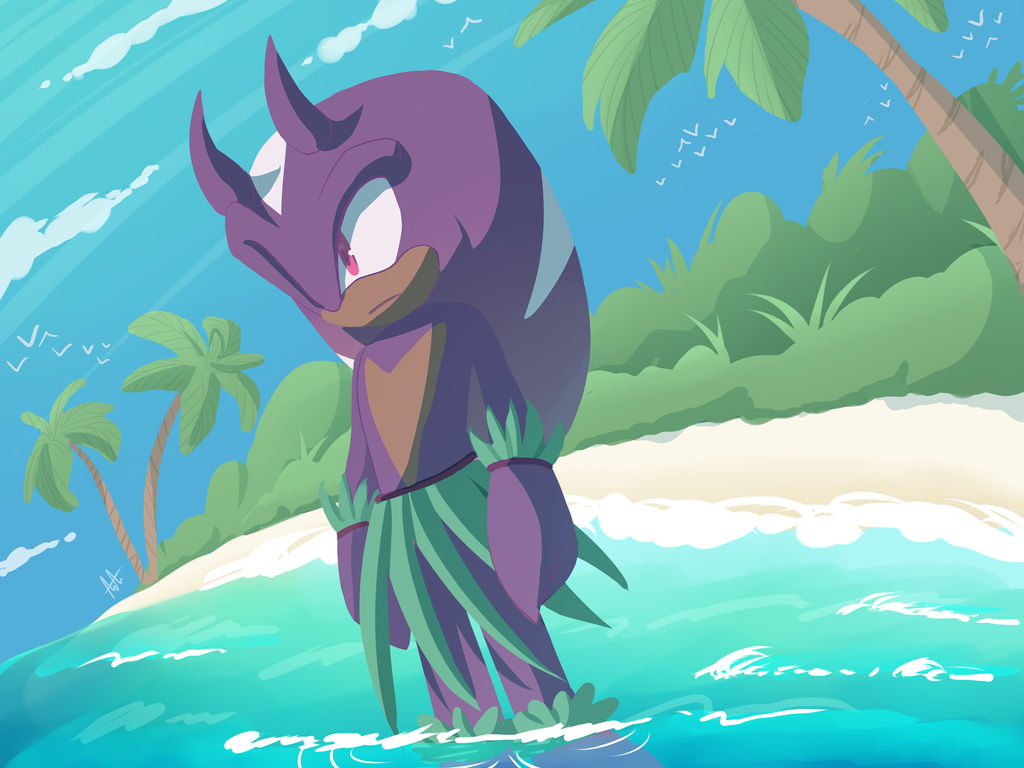 Sonic Fc Narciso At The Beach By Xdamyrax On Deviantart