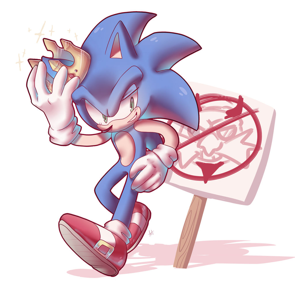 Sonic Sonic Rules By Xdamyrax On Deviantart