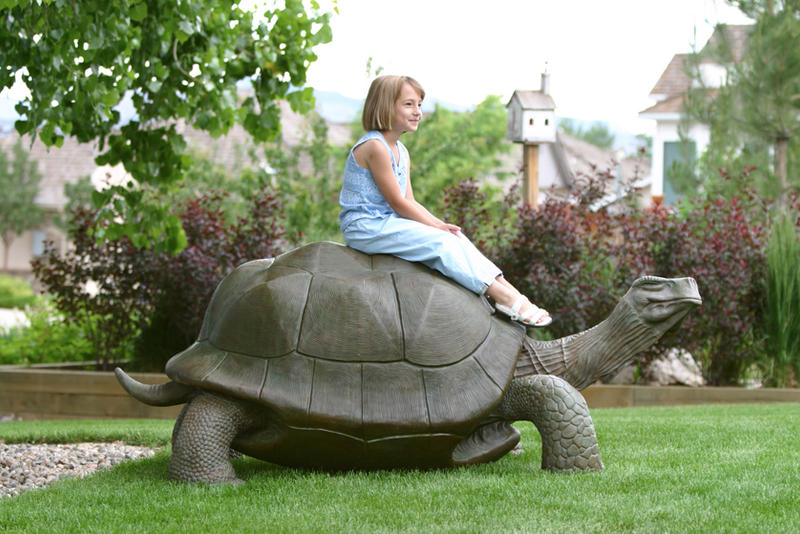 george the tortoise by RandyHand on DeviantArt