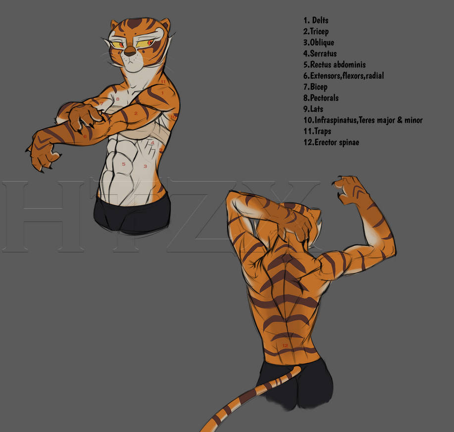 Tigress 2 By Htzx On Deviantart