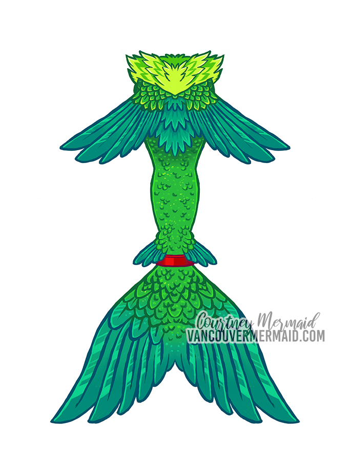 Parrot Mermaid Tail By Courtneymermaid On Deviantart