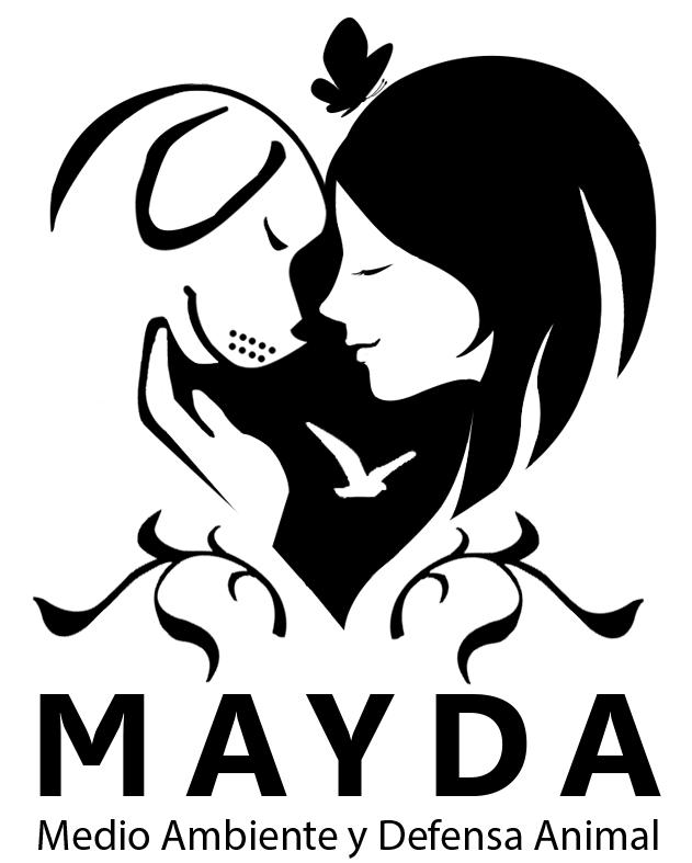Logo Mayda By Amands On DeviantArt logo-mayda-by-amands-on-deviantart