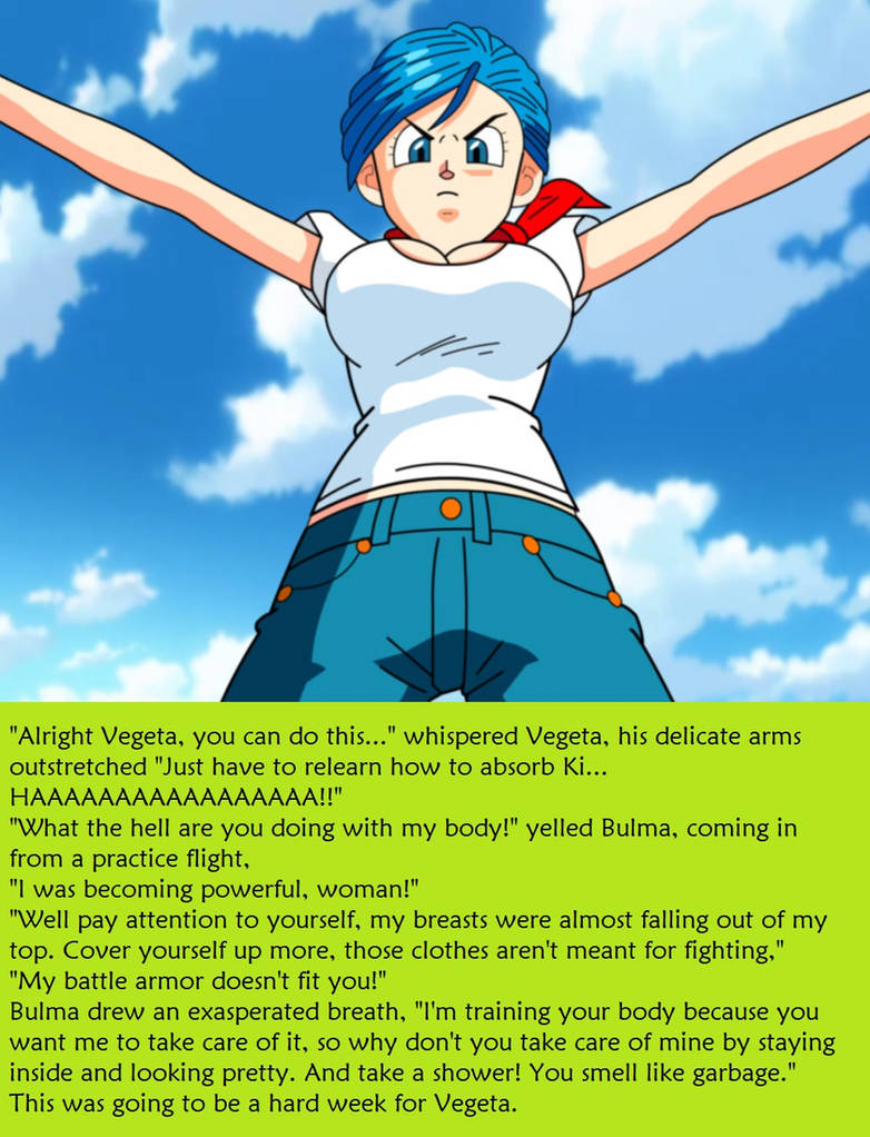 Bulmas Wish 2 By Fatsate On Deviantart