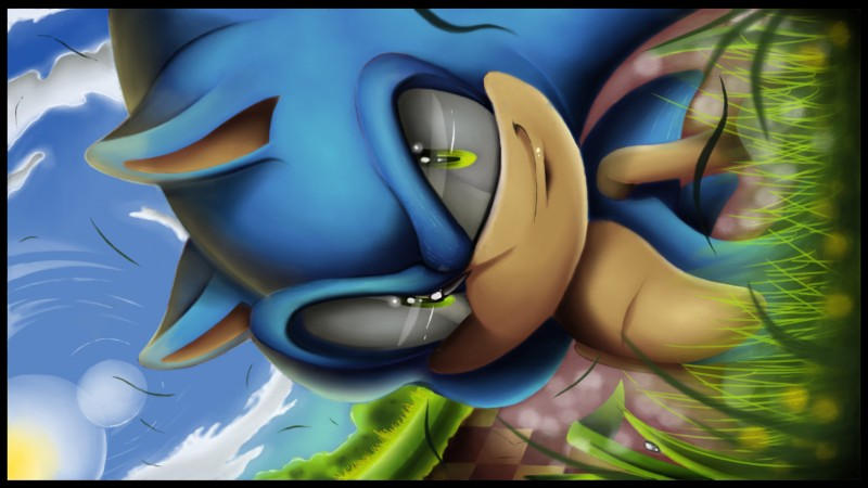 Sonic The Heartwarming Hedgehog By I Cyber Netics I On Deviantart
