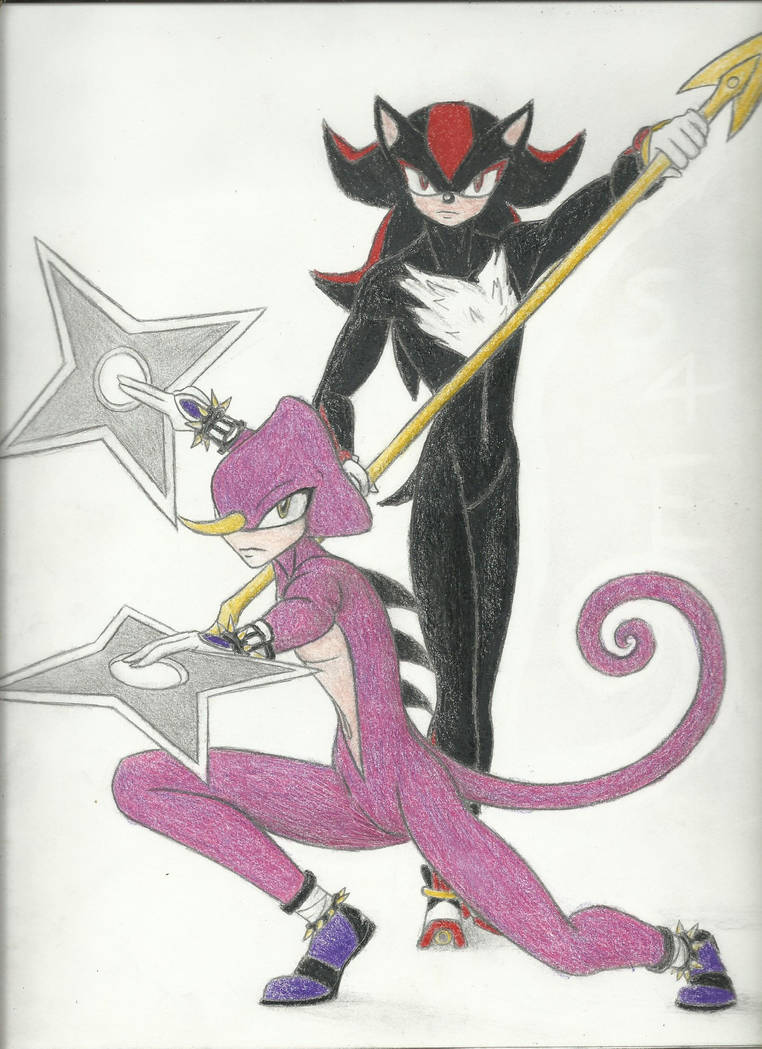Shadow And Espio By Remthedeathgoddess On Deviantart