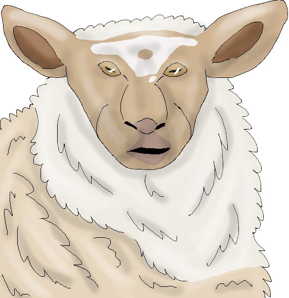 Bry, mioget Shetland sheep ewe 1 by brightberries on DeviantArt Bry, mioget Shetland sheep ewe 1 by brightberries on DeviantArt