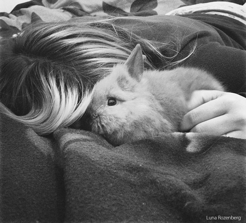 Moment Of Happiness By Lun4ever On DeviantArt moment-of-happiness-by-lun4ever-on-deviantart