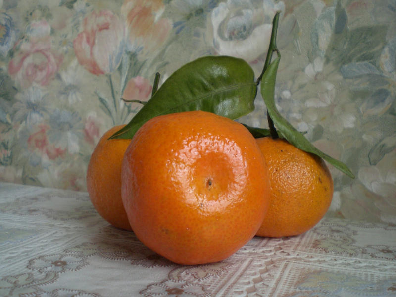 Tangerine by RacoonGreySpirit on DeviantArt