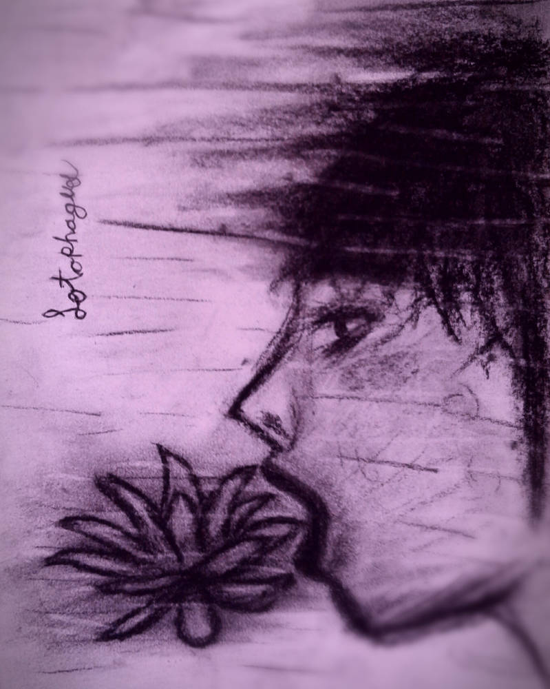 Lotus Eater By Lotuseating On Deviantart