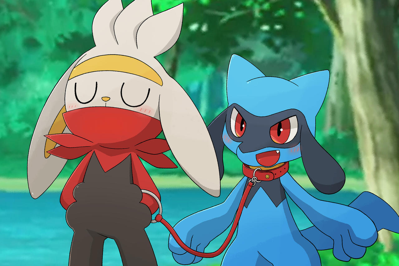 Raboot And Riolu By Omynoh On Deviantart