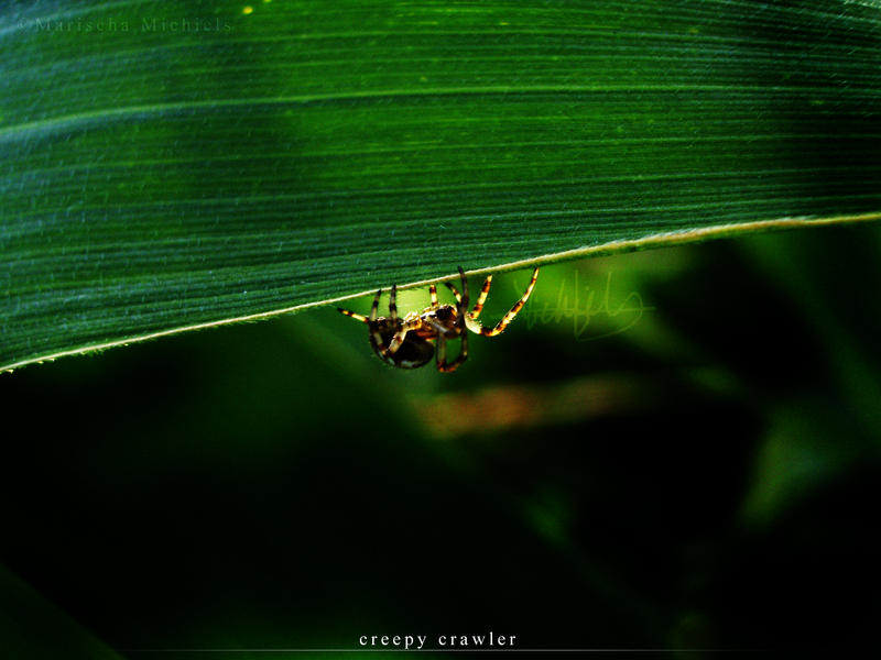 Creepy Crawler By Mischx On Deviantart