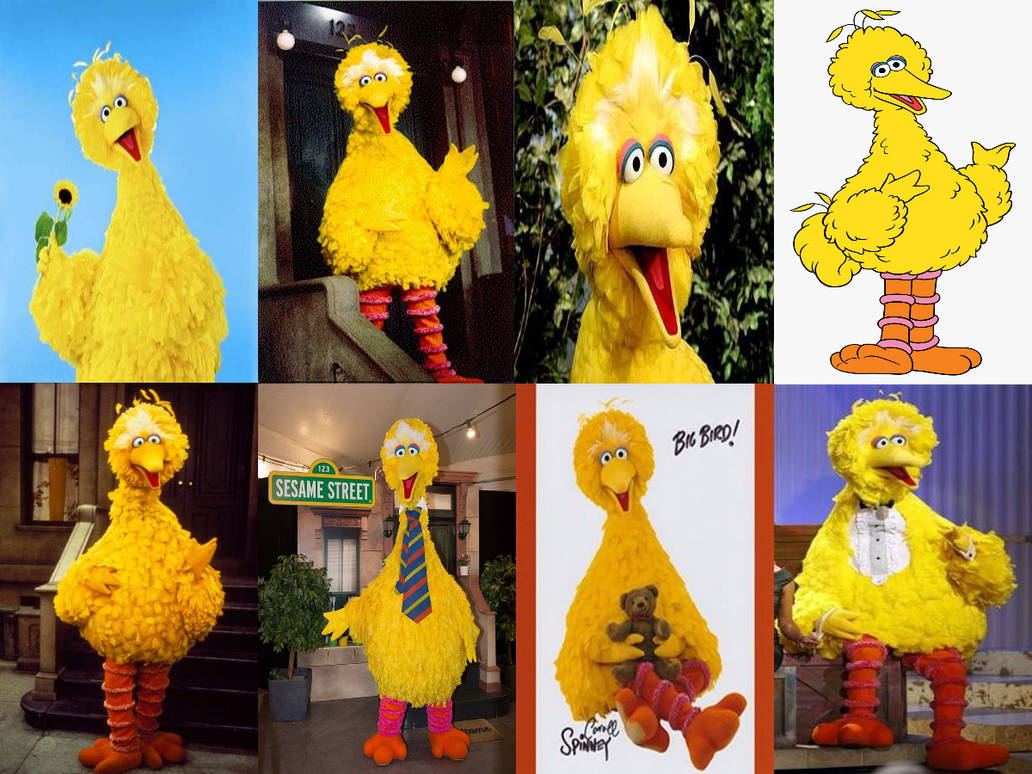 Why I Love Big Bird By Mnwachukwu16 On Deviantart