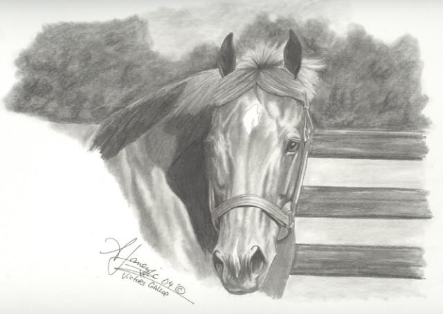 VICTORY GALLOP by Prairie-Bayou on DeviantArt