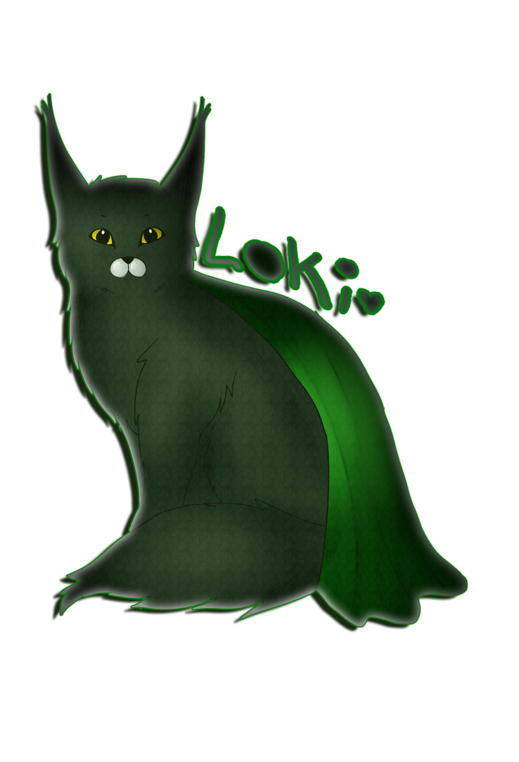 Loki Cat C8 By Unicornbuttons On Deviantart