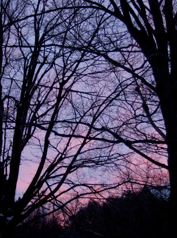 dawn by simpleshots on DeviantArt