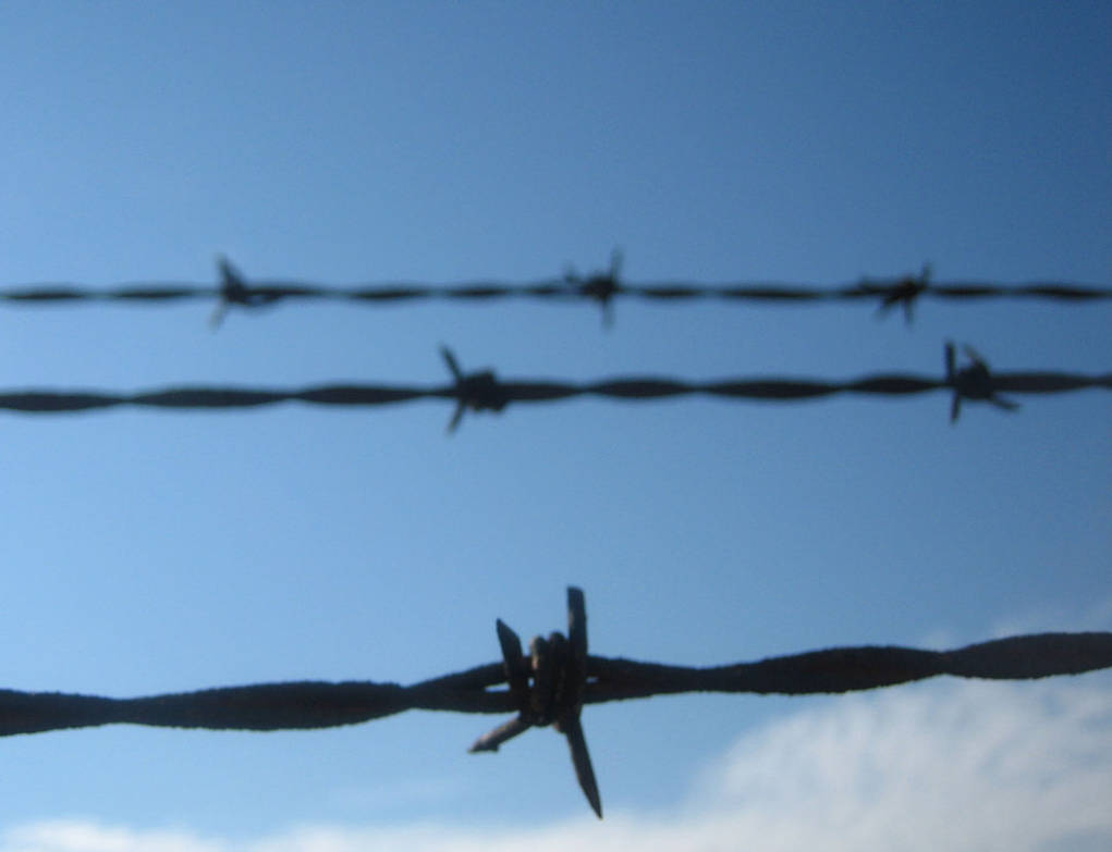 barbed wire. by dethika on DeviantArt