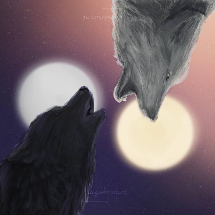 Skoll Hati Request From Random97535 By Kogakrimint On Deviantart