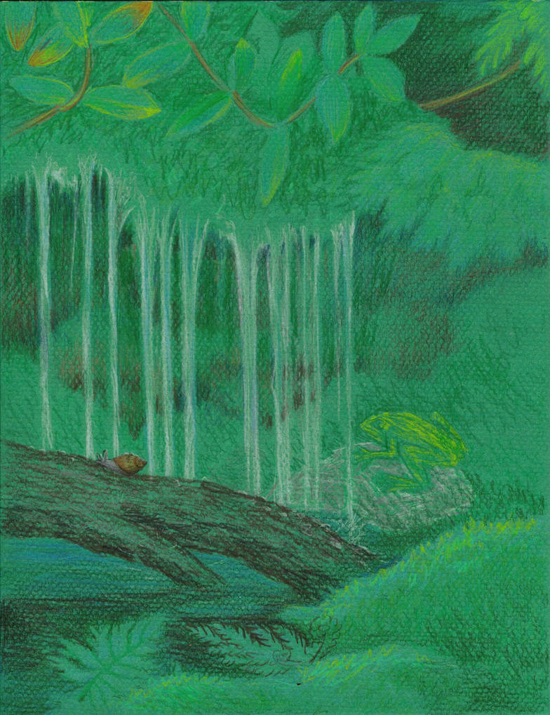Ferns, Moss and Water Stage 2 by robertsloan2 on DeviantArt