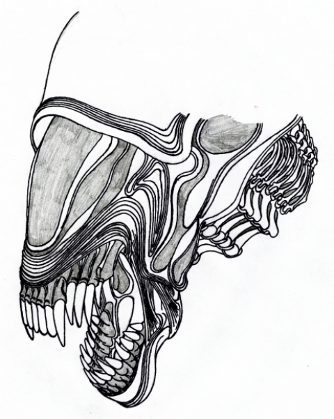 Alien Queen by Vladimir3d on DeviantArt