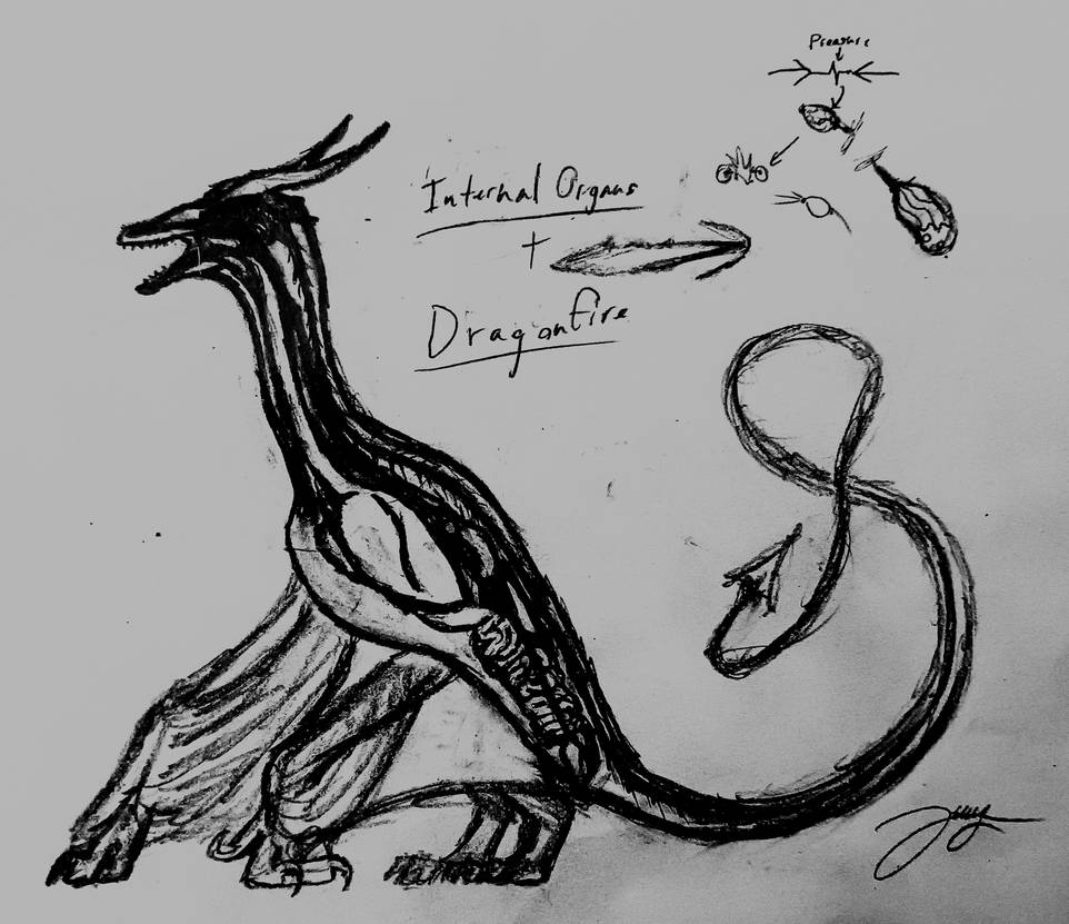 Internal Organs Dragonfire By Lucynotfounddiscord On Deviantart