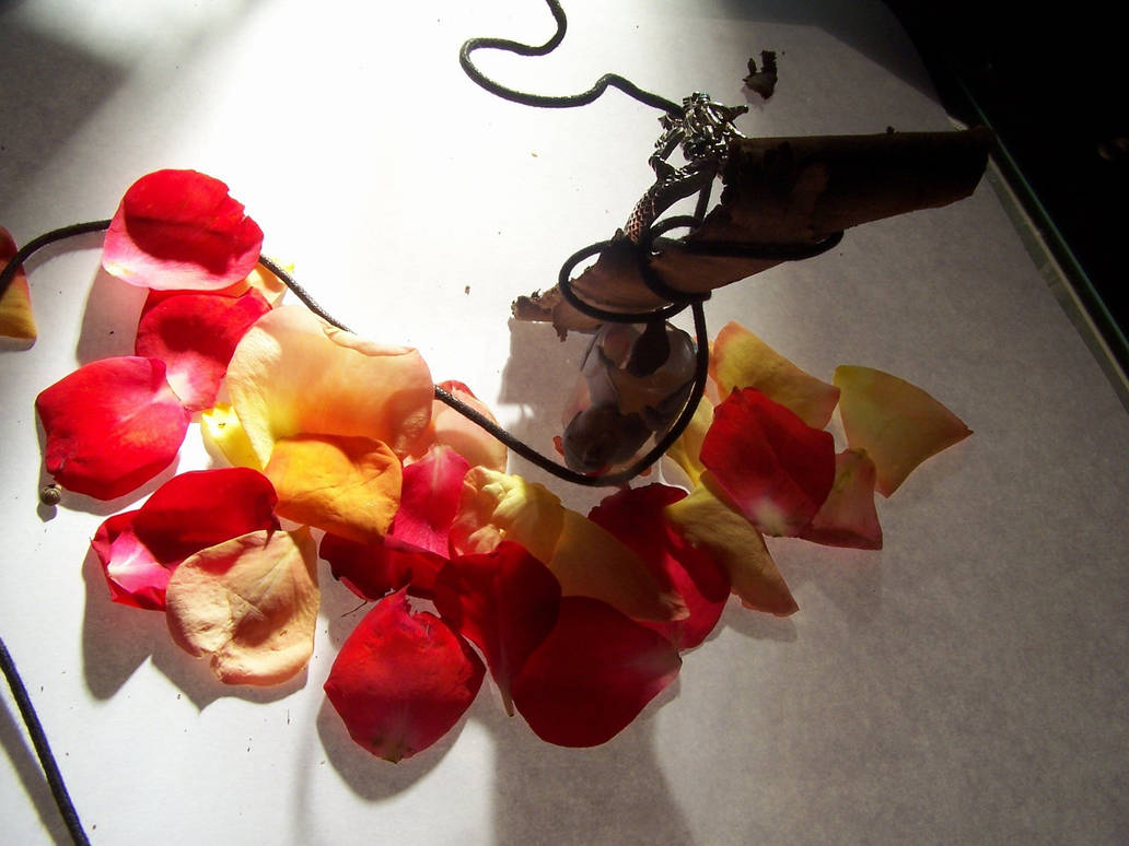 Photography Lesson by Harry-Paraskeva on DeviantArt