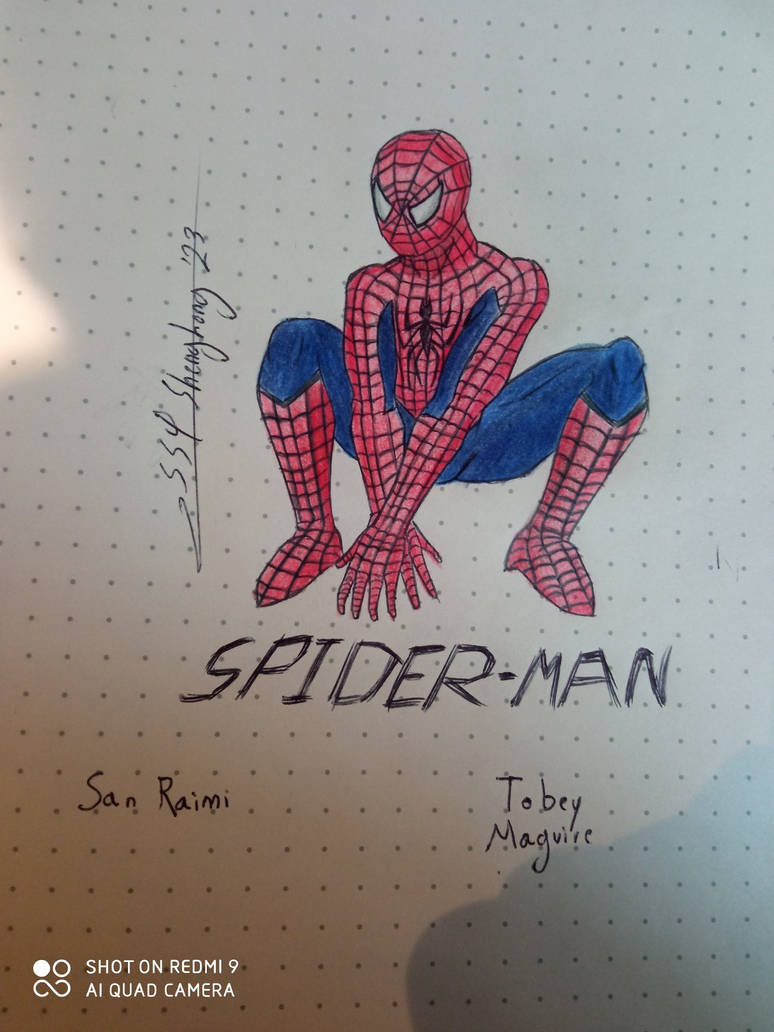 Spider-man (sam Raimi) By Megalinkdamon03 On Deviantart